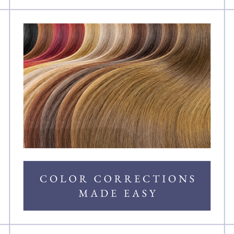 03/23/2026 Color Corrections Made Easy – Evolvesalonsystems.com